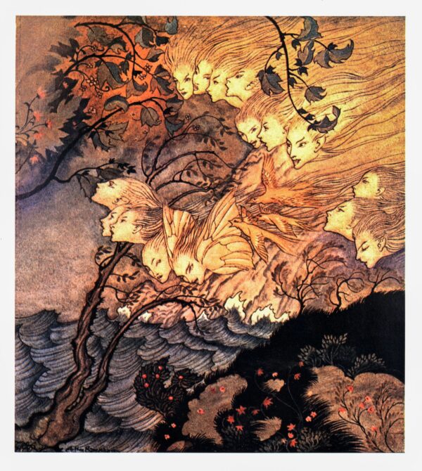 The Tempest Arthur Rackham 1926 art “… and sometimes voices” Color ...